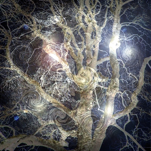 Tree Spirit Healing – awareness | simonhlilly